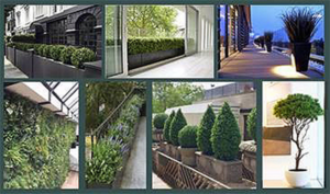 Home - Fake Landscapes